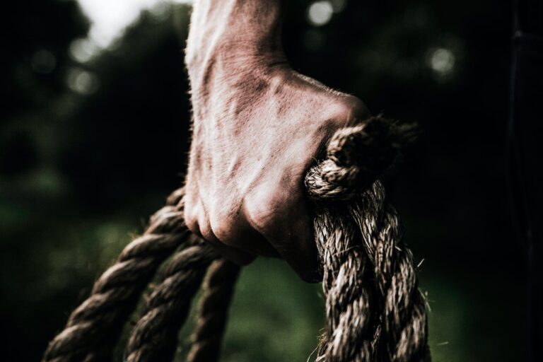 A Guide to Buying Arborist Ropes | Southeast Rigging, Inc.